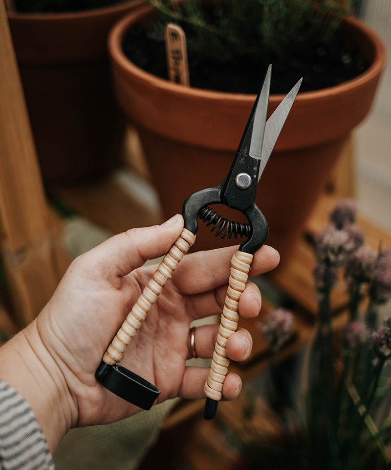 Where Design meets Purpose – Goodee